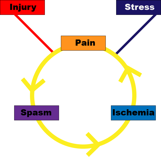 Breaking the Pain Cycle with Massage - Massage Aha!